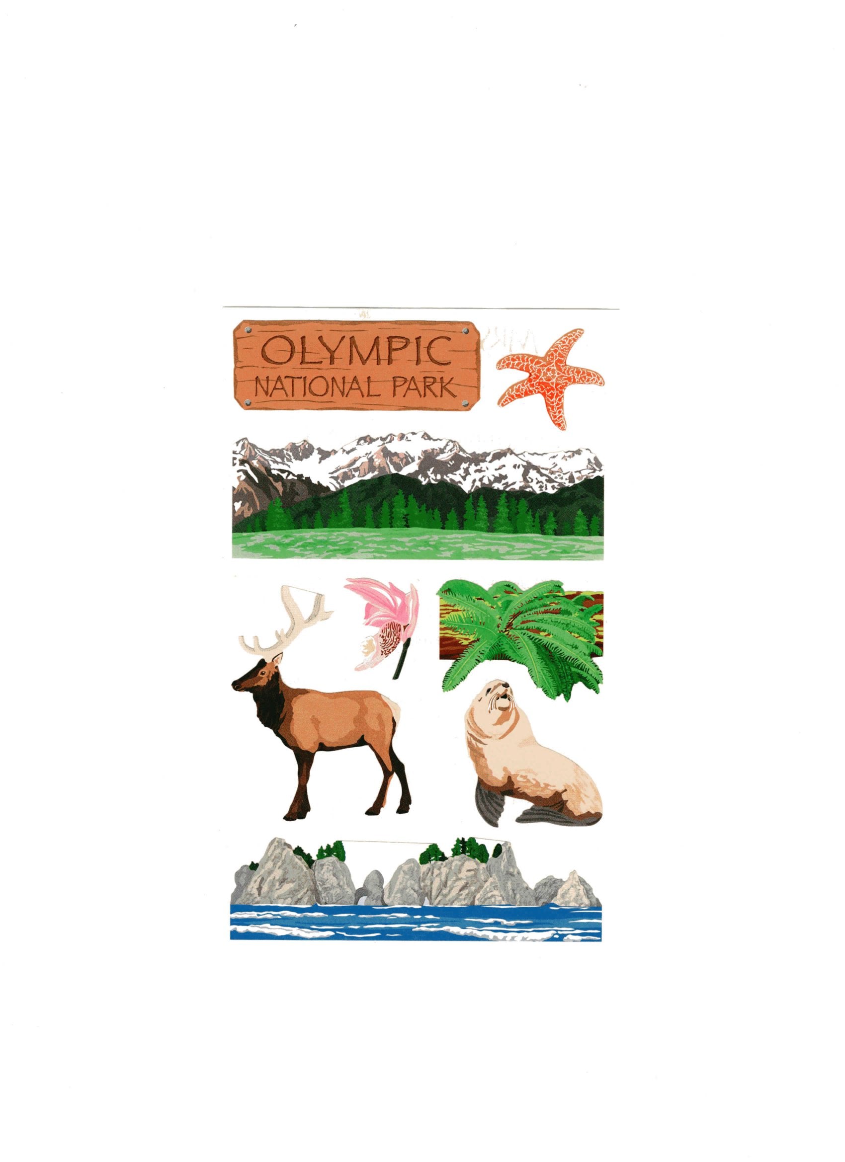 Olympic National Park – Mrs. Grossman's