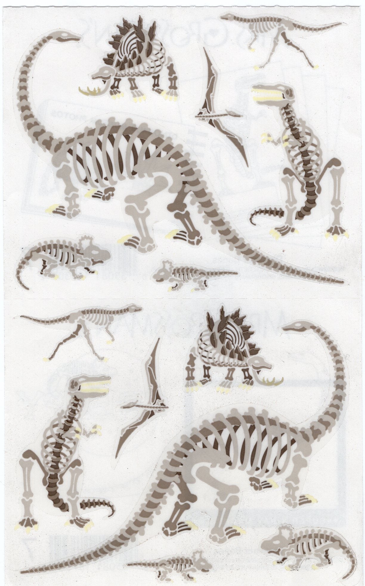 Print Your Own Dinosaur Bones