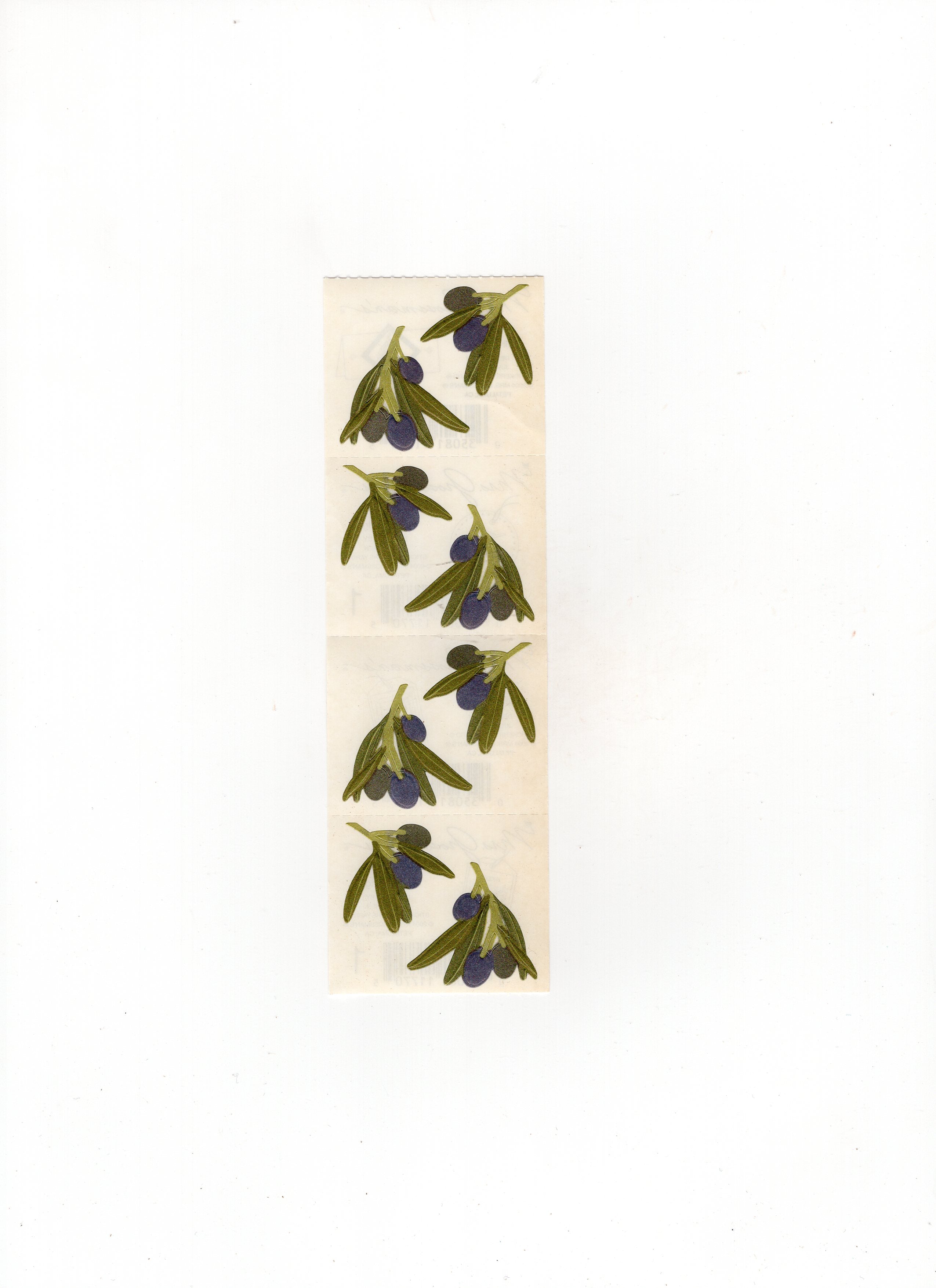 Olive Sprigs – Mrs. Grossman's