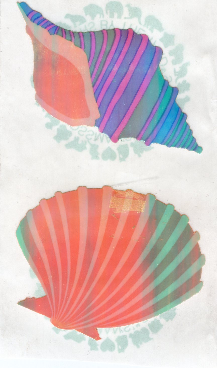 Opal SeaShell – Mrs. Grossman's